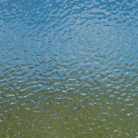 Window Grid Pattern Glass Options Vector Windows