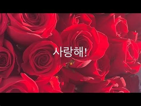 사랑하는 아내의 생일을 축하하며 에트나이브 영상편지 YouTube