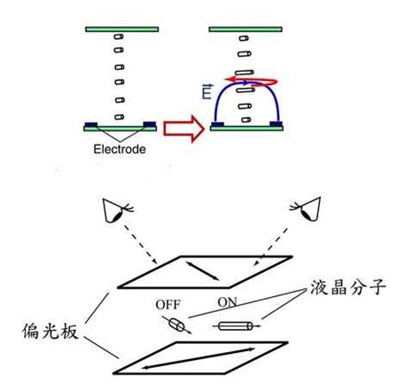 Ips屏幕的具体工作原理是什么，可以用更形象的方式解释一下吗？ 知乎