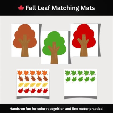 Leaf Colour Matching Mats By Play Learn Grow Explore Tpt