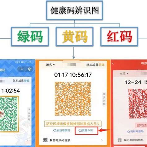 电白区疾控一图教你辨识健康码防控赖广昭广东省