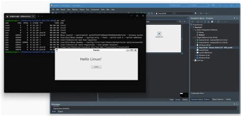 embarcadero technologies on linkedin can i do linux development on
