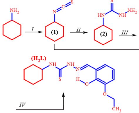 Schema De Sinteză A 4 Ciclohexil Tiosemicarbazonei 3 Etoxisalicil
