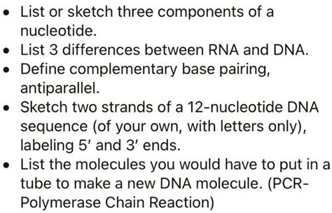 Solved List Or Sketch Three Components Of A Nucleotide List 3 Differences Between Rna And Dna