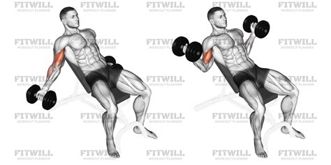 Dumbbell Incline Inner Biceps Curl Exercise Guide Video Techniques Benefits How To Muscles