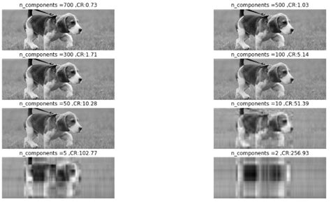 GitHub ShruthiM23 Case Study Image Compression Using Singular Value