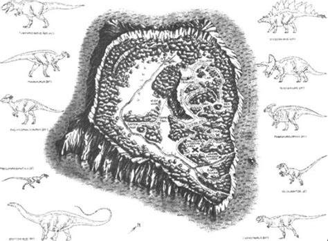 The Lost World Readers Library