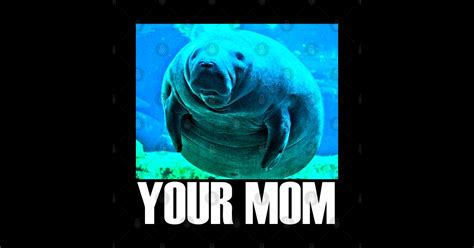 Your Mom Funny Sticker Teepublic
