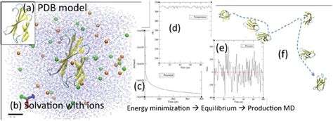 The Workflow For Our Molecular Dynamics Simulations Is Illustrated A