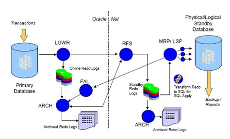 Standby Concepts And Configuration