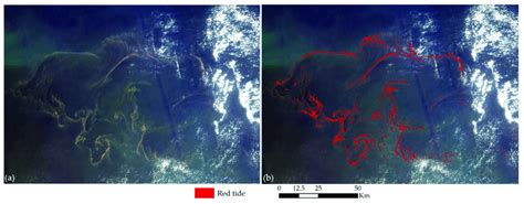 red tide detection result for rayleigh correction product a hy−1d