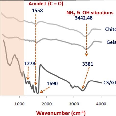 Ftir Spectra Of Cs Top Light Gray Gl Middle Medium Gray And