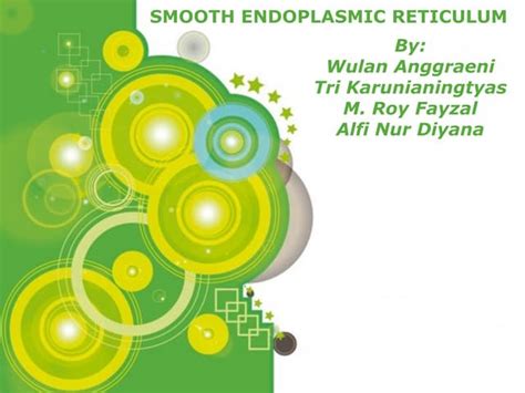Smooth Er Ppt
