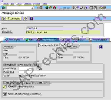 Pfcg Sap Roles And Authorizations Maintenance