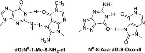 Base Pairing Involving Artificial Bases In Vitro And In Vivo Chemical