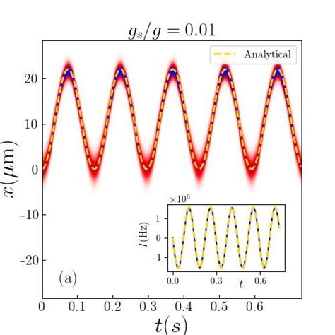 Numerical Evolution Of A Spin Domain Under A Linear Differential