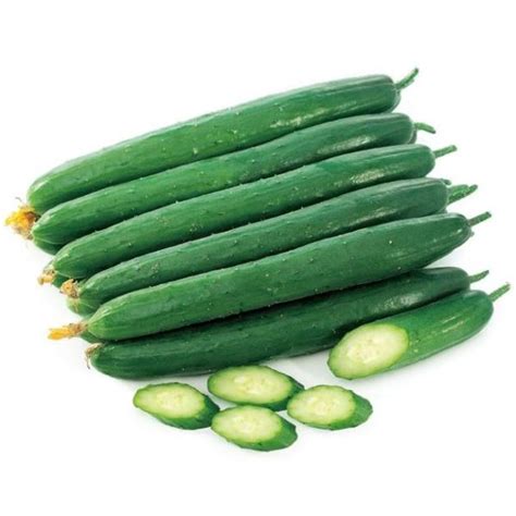 Cucumber Pretty Swallow Known You Seed America