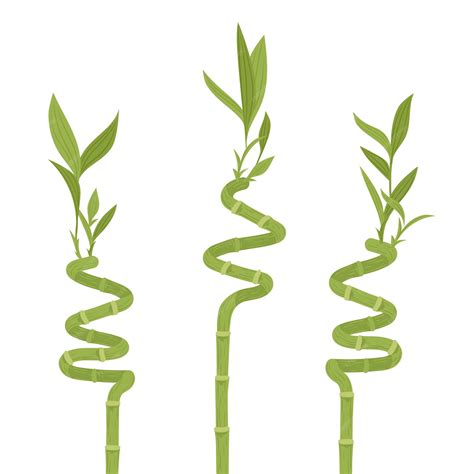 Premium Vector Bamboo Stems Cartoon Asian Forest Bamboo Sprouts Young