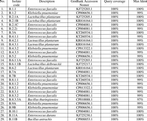The Analysis Result Blast Of The Isolate Of Lactic Acid Bacteria Origin