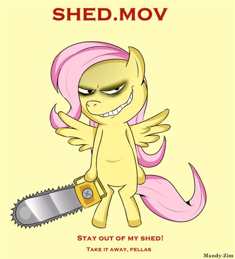 Stay Outta My Shed Fluttershy