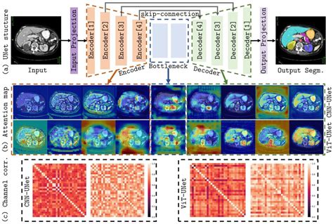 Selfreg Unet Self Regularized Unet For Medical Image Segmentation Geometry Systems Laboratory