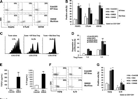 Figure 1 From Mutant Kras Conversion Of Conventional T Cells Into