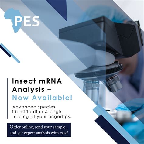 Pathogen 🚀𝗡𝗘𝗪 𝗼𝗻 𝘁𝗵𝗲 𝗣𝗘𝗦 𝗔𝗳𝗿𝗶𝗰𝗮 𝗪𝗲𝗯𝘀𝗶𝘁𝗲 🚀 Introducing Our Insect Mrna Analysis Service The