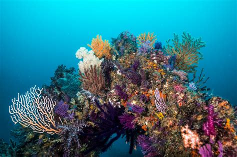 Mowing The Dbaas Weeds Without Force Dell Technologies Info Hub