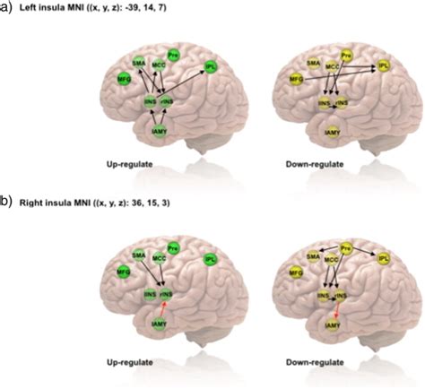Granger Causality Analysis Of The Effective Connectivity In The Emotion