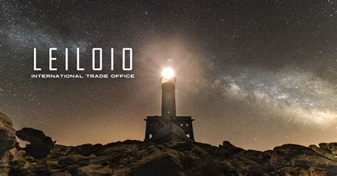 Leiloio International