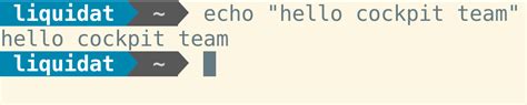 Wrong Encoding In Terminal When Using Powerline Issue Cockpit Project Cockpit GitHub