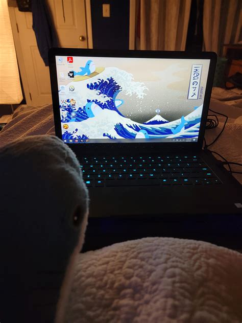 Mini Blahaj Looking At Blahaj Desktop R Blahaj