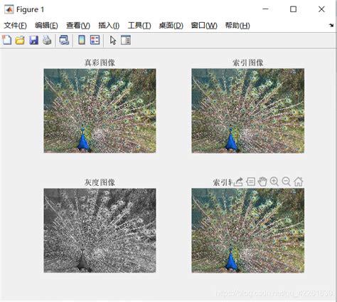 真彩图像、索引图像、灰度图像、二值图像的区别以及使用matlab对其相互转换索引图像和真彩图像的区别 Csdn博客