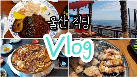 Vlog ⭐울산 직딩 Vlog⭐먹방 일상 브이로그 울산 맛집 추천울산 성남동 맛집울산 삼산 맛집울산 주전 맛집치즈돈까스김치우동메밀소바삼겹살오리불고기