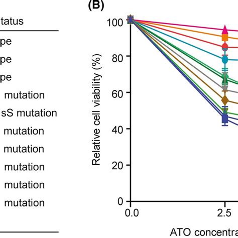 Ato Preferentially Inhibits Tp53 Mutatednull Cells A Tissue Of