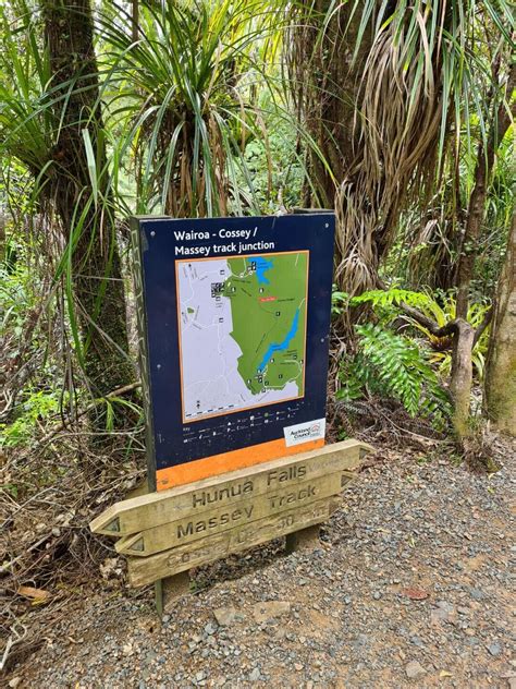 Best Hunua Ranges Walks Massey Cossey Loop Track