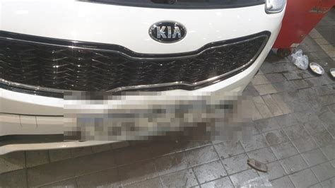 스포티지 흡기크리닝 Dpf클리닝 비용과 청소 가격 Egr밸브 교체 경유차 디젤엔진 네이버 블로그