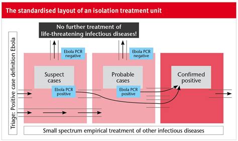 Between Ignorance Misperception And Dilemma