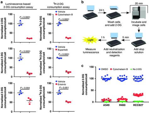 A High Throughput Assay For Measuring Glucose Consumption A Glucose Download Scientific A High Throughput Assay For Measuring Glucose Consumption A Glucose Download Scientific