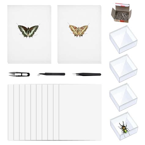 20 Pcs Insect Specimen Tools Kit 4 Clear Display Case Box 10 Sheets Thin Tracing Paper 2