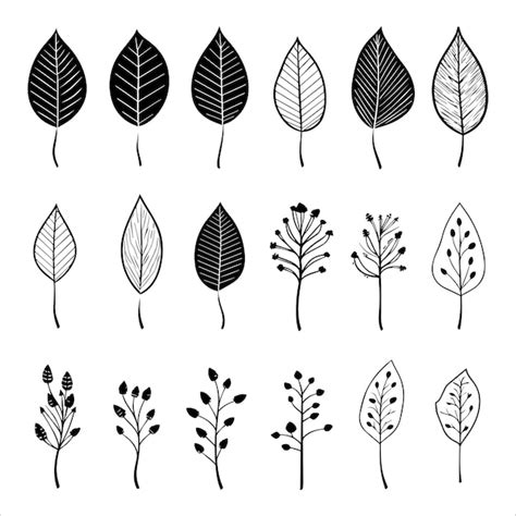 Premium Vector Delicate Leaf Patterns In Monochrome