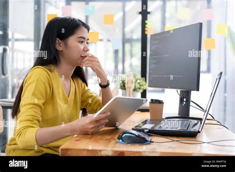 Programmers And Developer Teams Are Coding And Developing Software