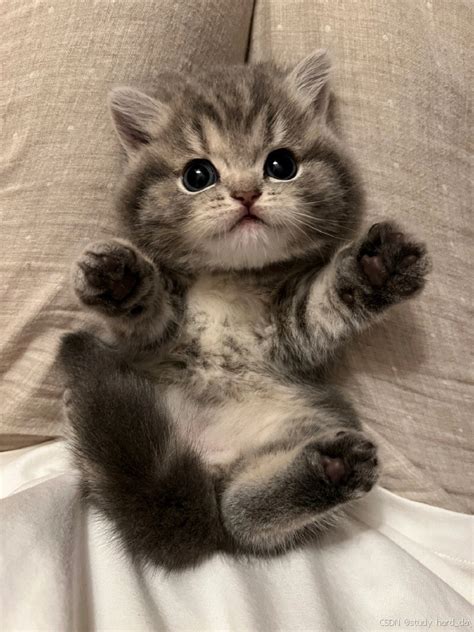 如何使用 Spring Boot 实现统一功能处理：从零开始打造高效、可扩展的后台系统浅谈spring Boot框架下如何快速进行后台开发