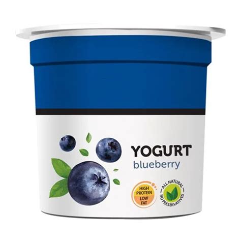 Blueberry Yogurt