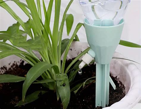 화분에 심은 물방울 관개를위한 3pcs 자동 자체 급수 자동 급수 도저 여행 휴일 조절 식 도저 시 Temu Republic Of Korea