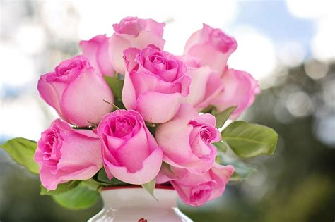 60000 Free Rose Bouquet And Bouquet Images Pixabay