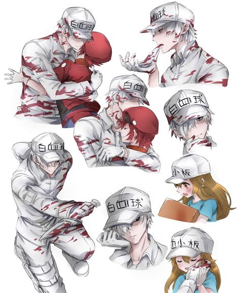 Platelet White Blood Cell Red Blood Cell Ae 3803 And U 1146