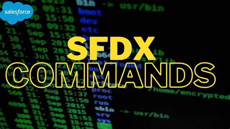 Best Salesforce Sfdx Commands Complete Guide