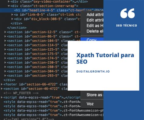 xpath tutorial para seo qué es usos y ejemplos digital growth