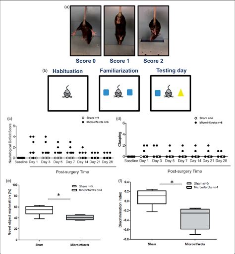 Figure 1 From Longitudinal Monitoring Of Mesoscopic Cortical Activity In A Mouse Model Of